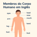 Membros do Corpo Humano em Inglês: Guia Completo